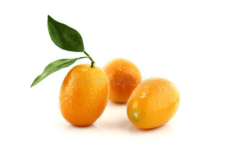 Petit fruit orange image stock. Image du fruits, comestible - 30037603