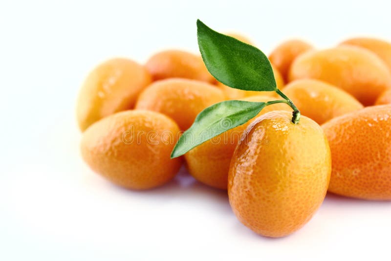 Petit fruit orange image stock. Image du groupe, nourriture - 30037603