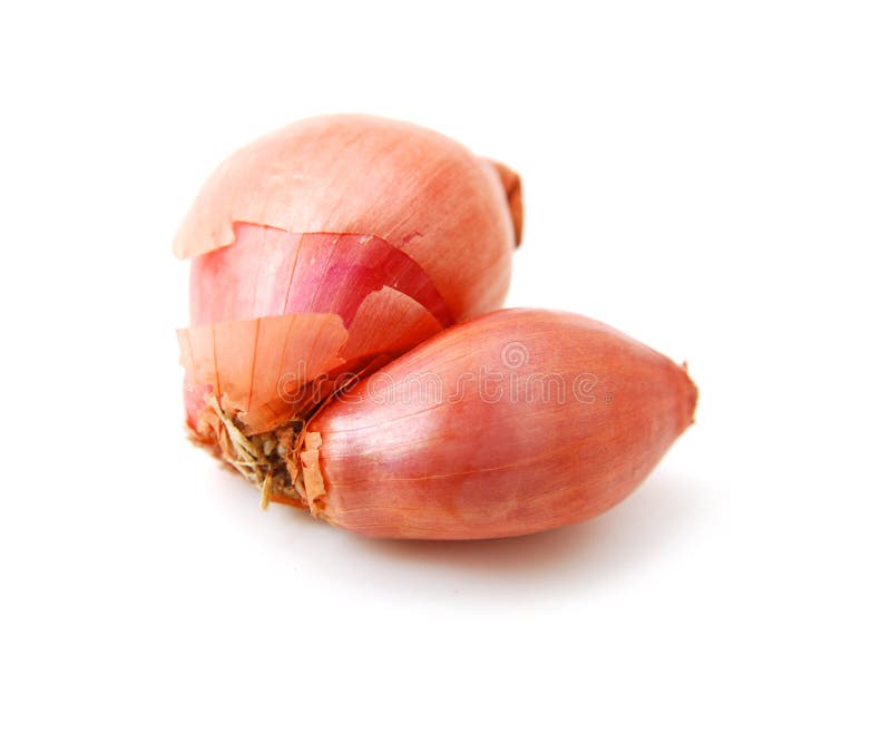 Petit oignon rouge image stock. Image of rouge, herbes - 25140817