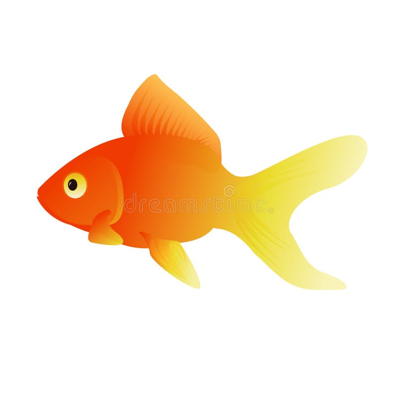 Un Poisson Rouge Poissons D'or Sur Un Fond Clair Illustration de ...