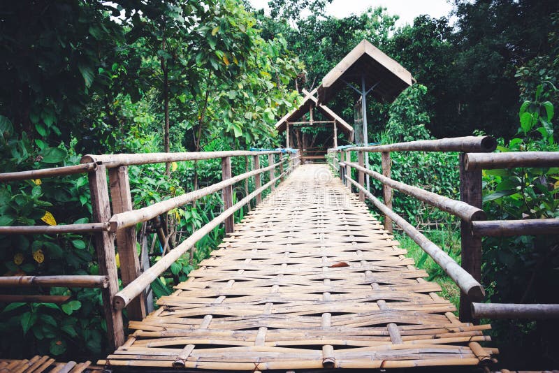 Petit pont en bambou photo stock. Image du fleuves, birman - 30441012