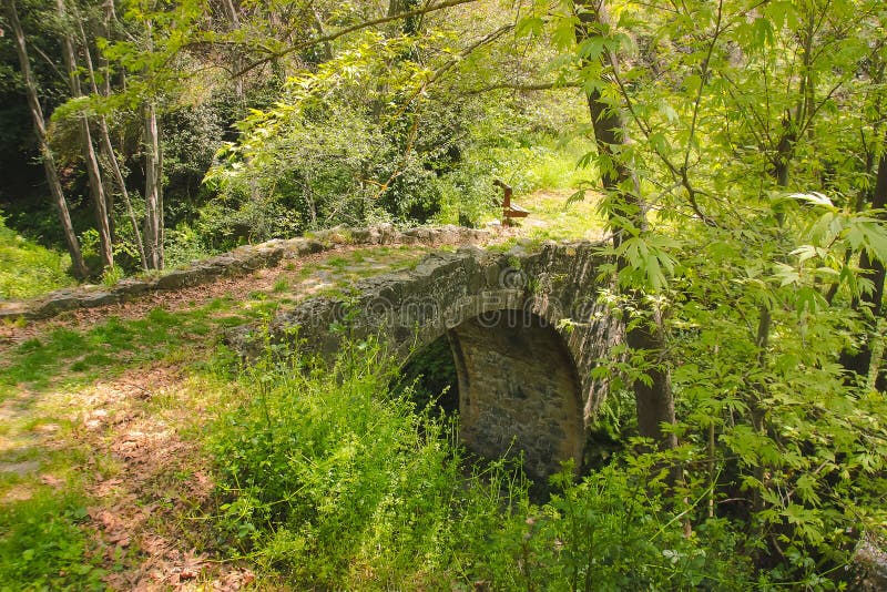 Petit Pont En Pierre En Nature Photo stock - Image du architecture ...