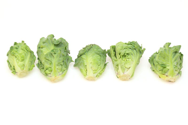 Petit Vert stock image. Image of mating, greens, vegetable - 68541665