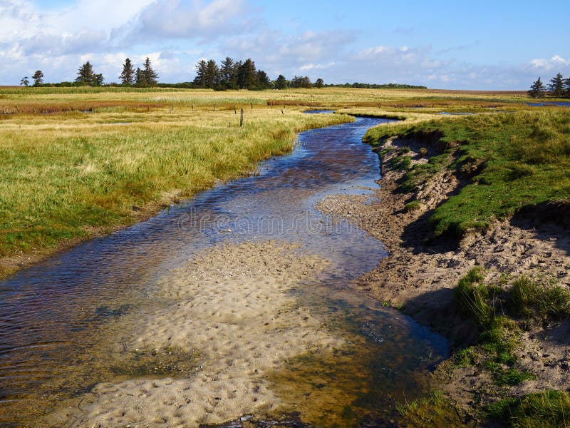 Petite Belle Crique Dans Un Espace Vert Luxuriant Image stock - Image ...