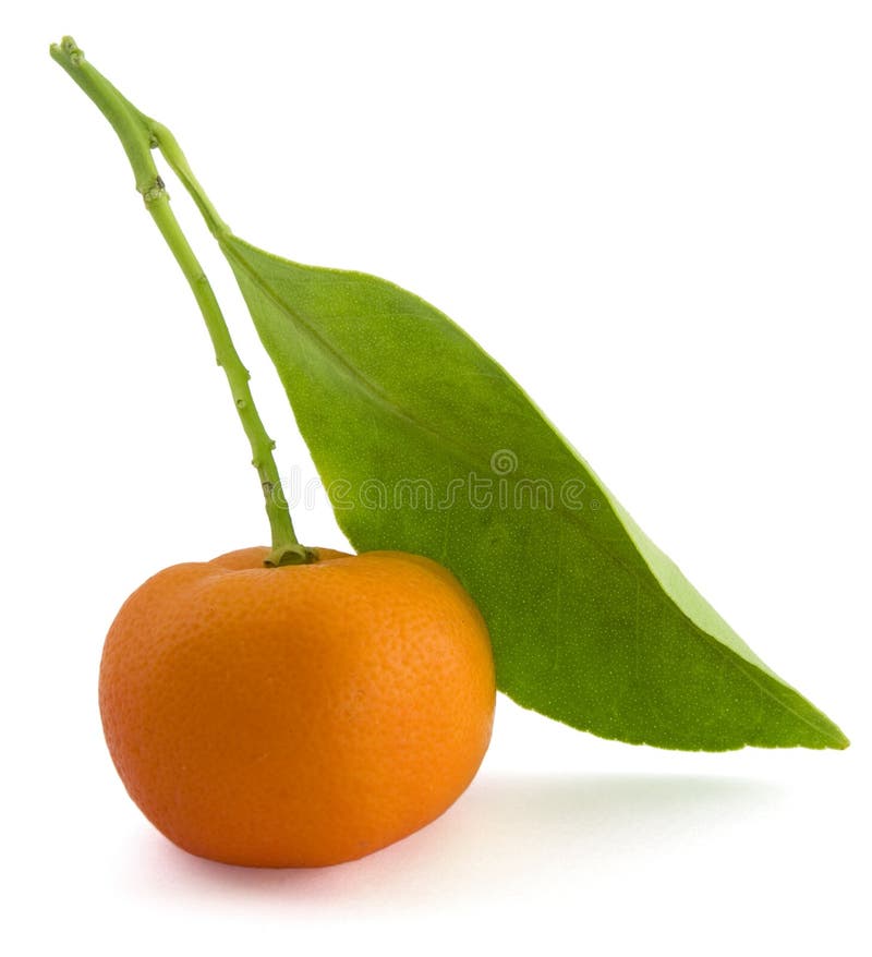 Petite orange photo stock. Image du sain, fruits, mandarine - 4910216
