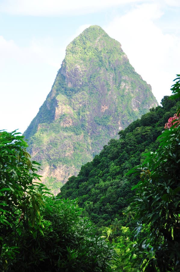 Petite Piton Rises through the Forest Stock Image - Image of tropical ...