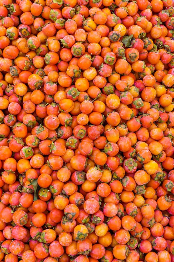 Petits Fruits Rouges De Kaki Image stock - Image du chinois, collecte ...