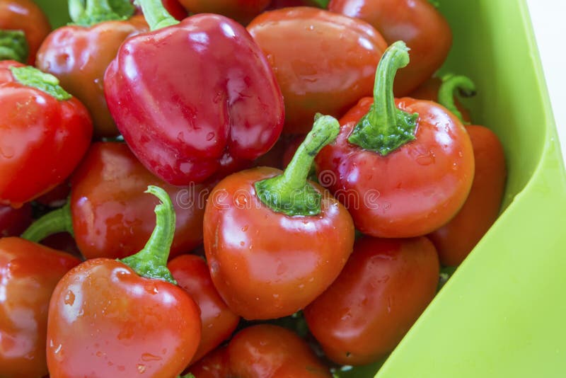 Petits poivrons rouges photo stock. Image du poivre, normal - 33718262