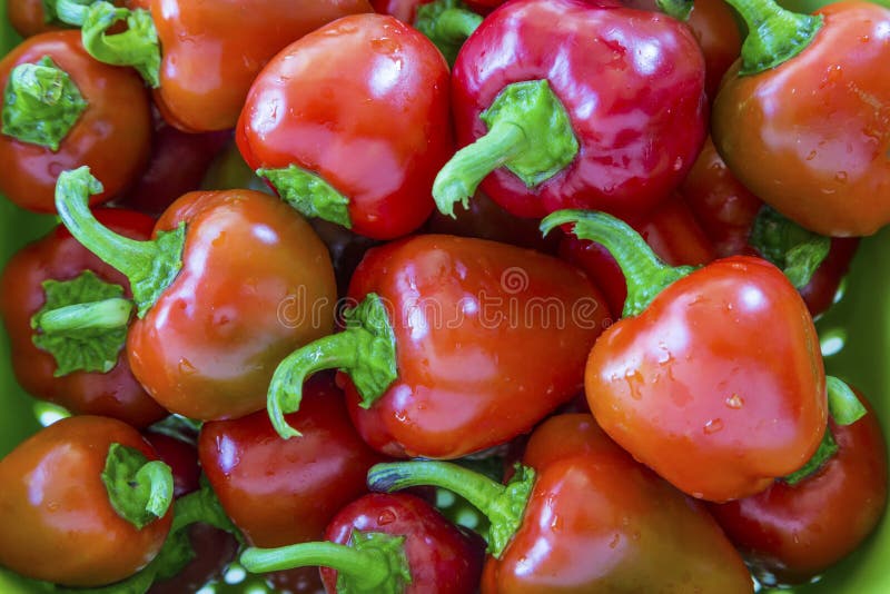 Petits poivrons rouges image stock. Image du marché, épicerie - 34121663