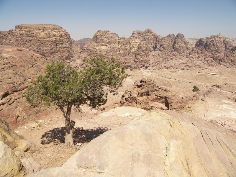 Petra, Jordan stock image. Image of intriguing, excavation - 5271173