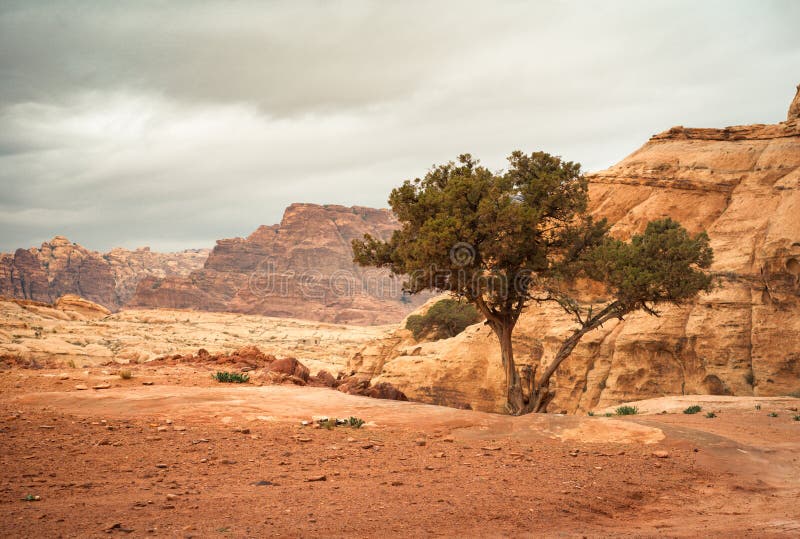 Petra mountains stock photo. Image of culture, sand - 204376978