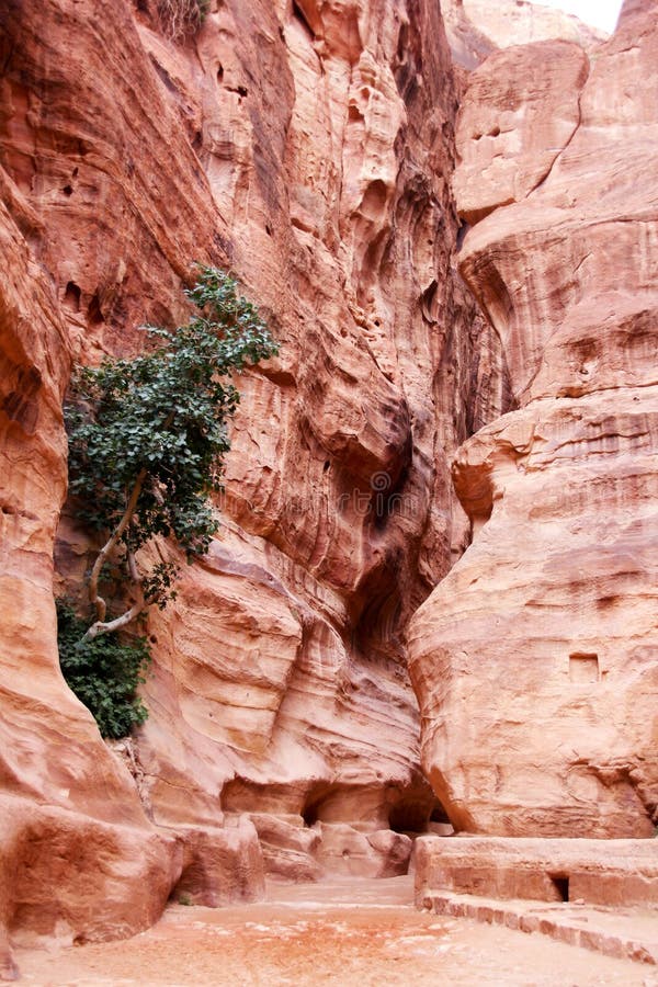 Petra rock Jordan, stock photo. Image of people, middle - 46842678