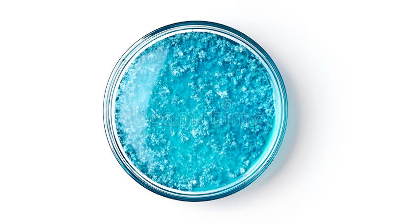 Petri Dish with Bacteria Isolated on White, Top View Stock Image ...