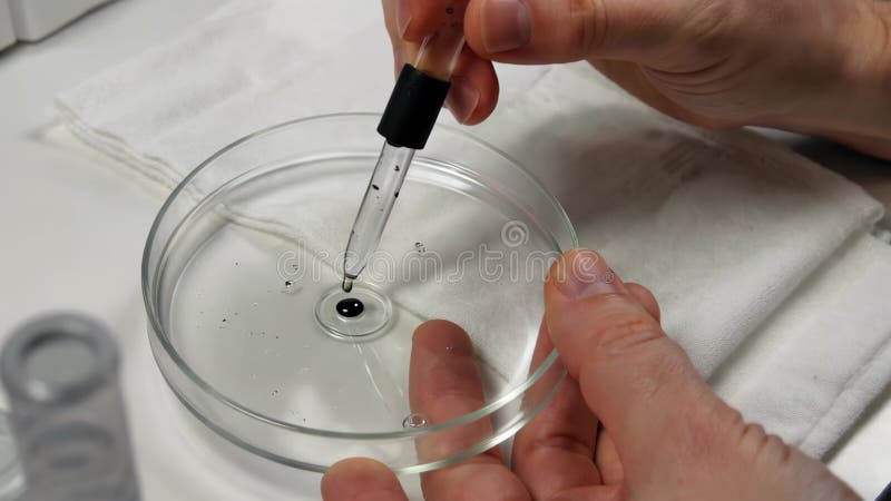 Laboratory Dropper Drip Experiment Footage, Generative AI Stock Footage ...