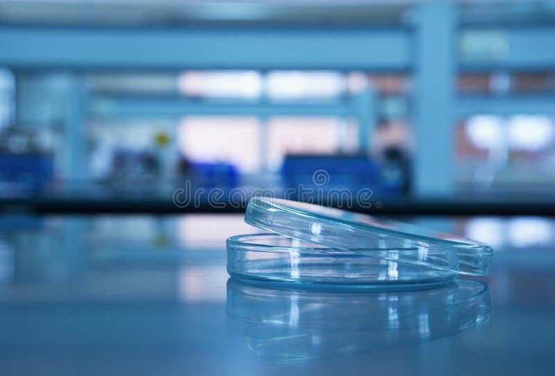 Glass Plate in Blue Science Microbiology Laboratory Background Stock ...