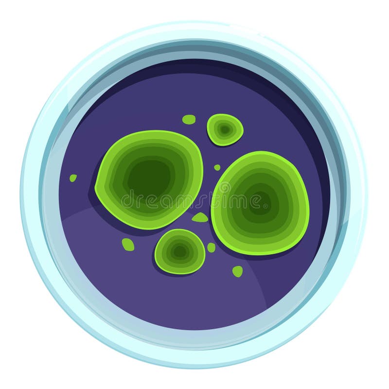 Petri Dish with Green Bacteria Growing in it Icon Stock Vector ...