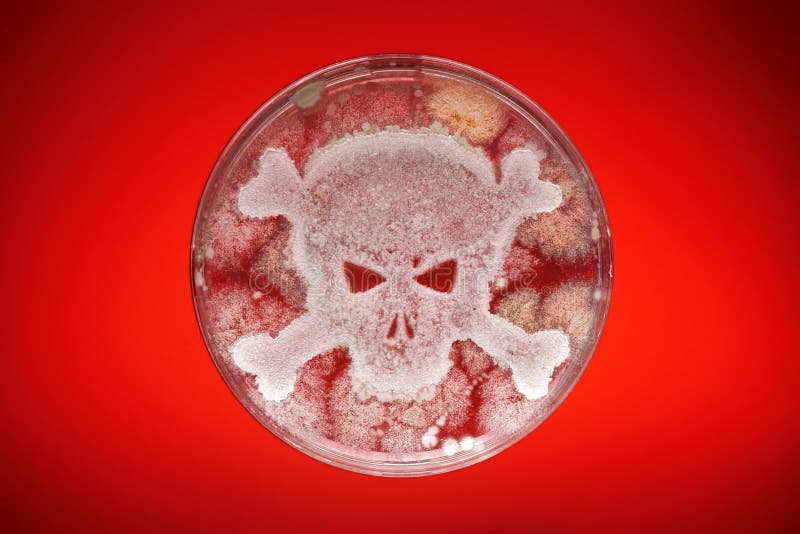 2,316 Crossbones Skull Stock Photos - Free & Royalty-Free Stock Photos ...