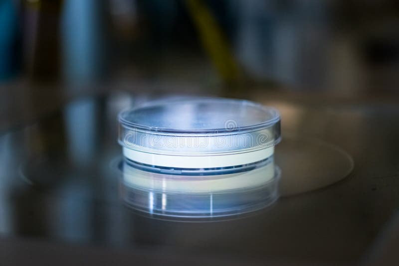 Petri Dish in a Laboratory, Ready Sample. Biochemistry, Pharmaceutical ...