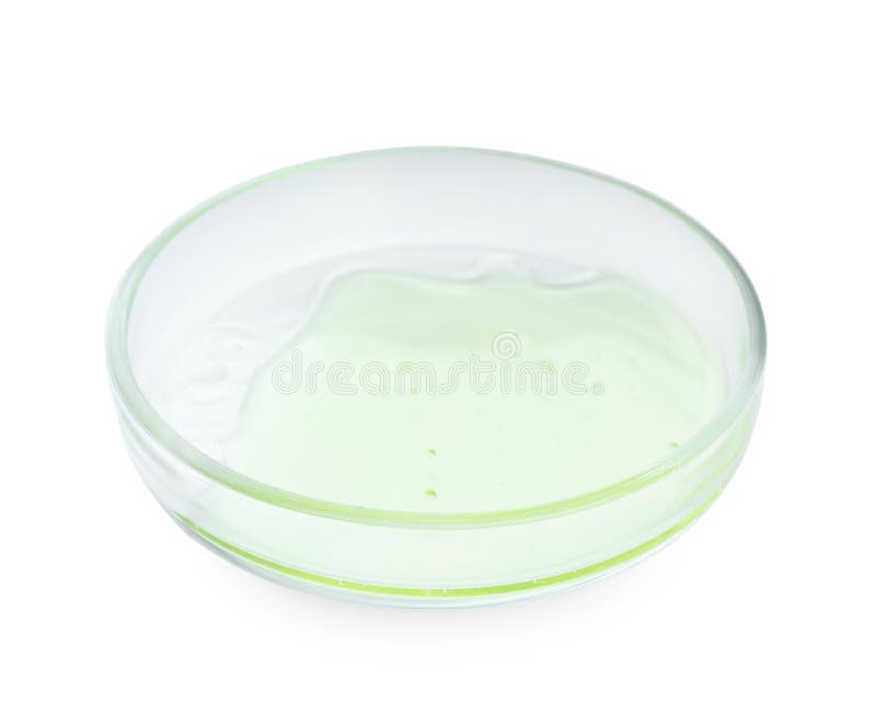Petri Dish with Liquid Isolated on White Stock Image - Image of biology ...