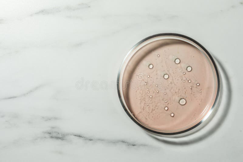 Petri Dish with Liquid on White Marble Table, Top View. Space for Text ...