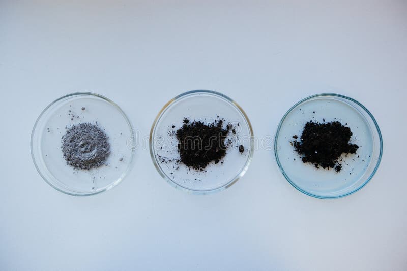 216 Glass Petri Powder Stock Photos - Free & Royalty-Free Stock Photos ...