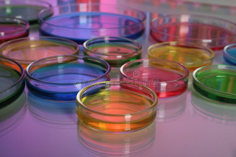 Petri Dishes with Different Colorful Samples on Table Stock Photo ...