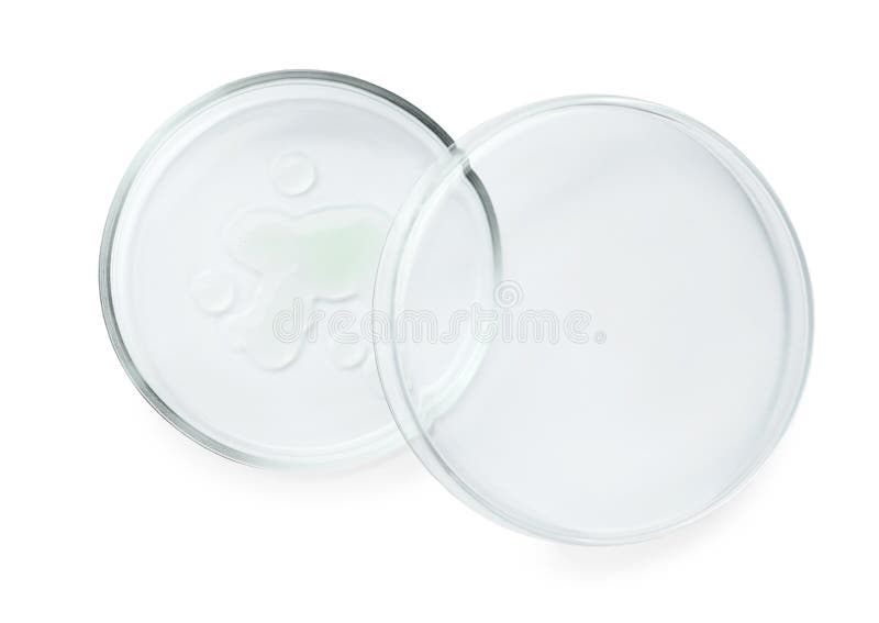 Petri Dishes with Different Liquids on White Background, Top View Stock ...