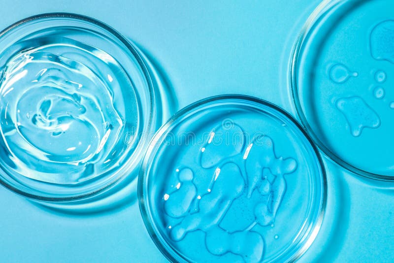 Petri Dishes with Liquids on Light Blue Background, Flat Lay Stock ...