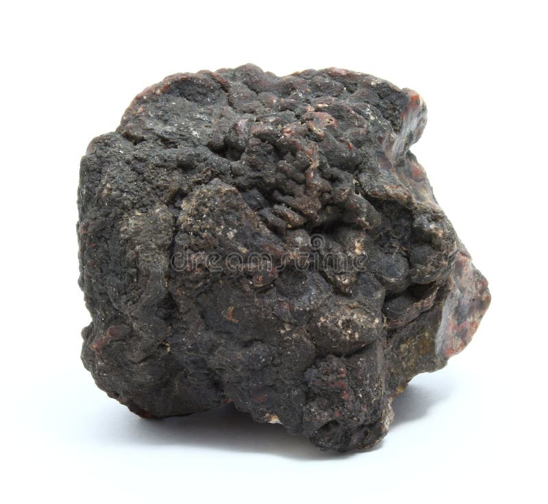Petrified dinosaur dung stock photo. Image of dinosaur - 63890314