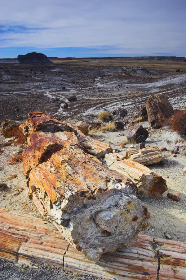 Coal stock photo. Image of technology, heavy, coal, machinery - 54314374