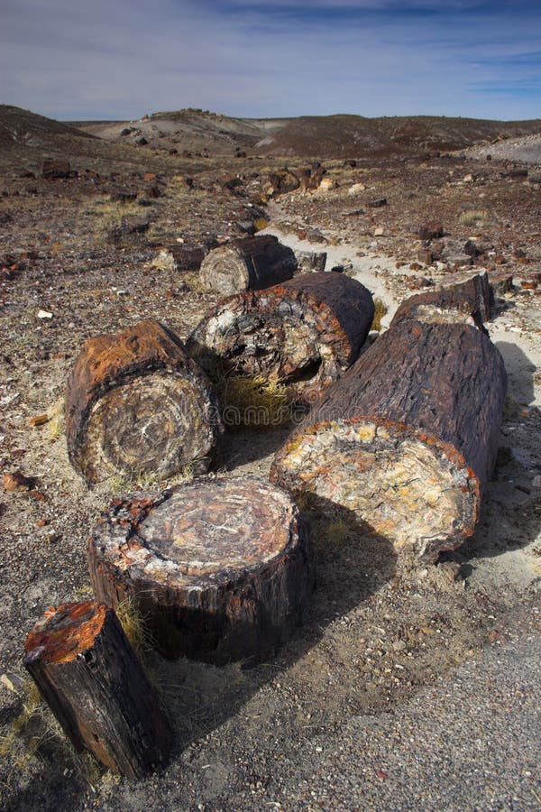 Fault Line or Fracture in the Earth Stock Image - Image of crust, shear ...