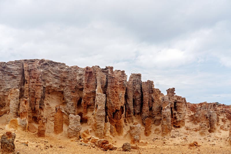 The Petrified Forest on the Coast of Victoria Australia Stock Image ...