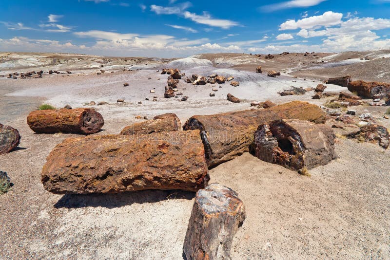 Petrified Forest National Monument Stock Image - Image of rock, wood ...