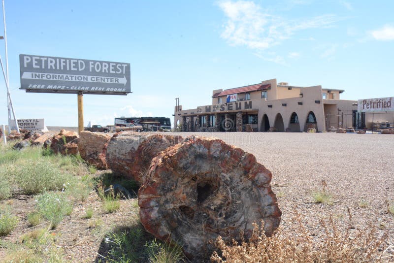 Petrified Log in Petrified Forest National Park Editorial Photography ...