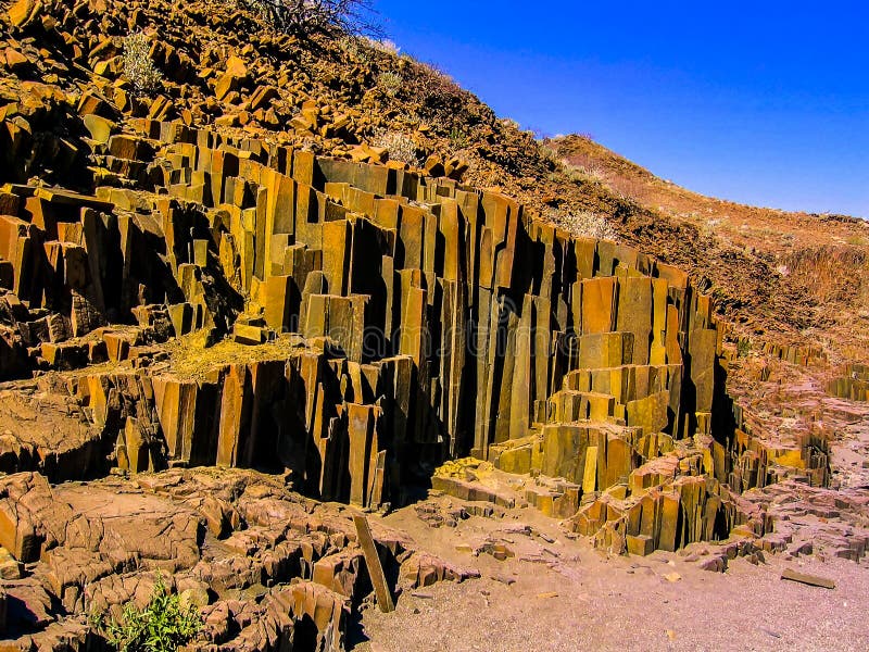 Petrified Tree from Khorixas, Namibia Africa Stock Photo - Image of ...