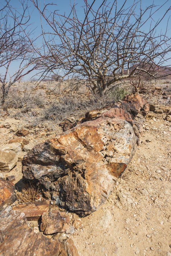 Prehistoric landscape stock photo. Image of scenic, landmark - 48426924