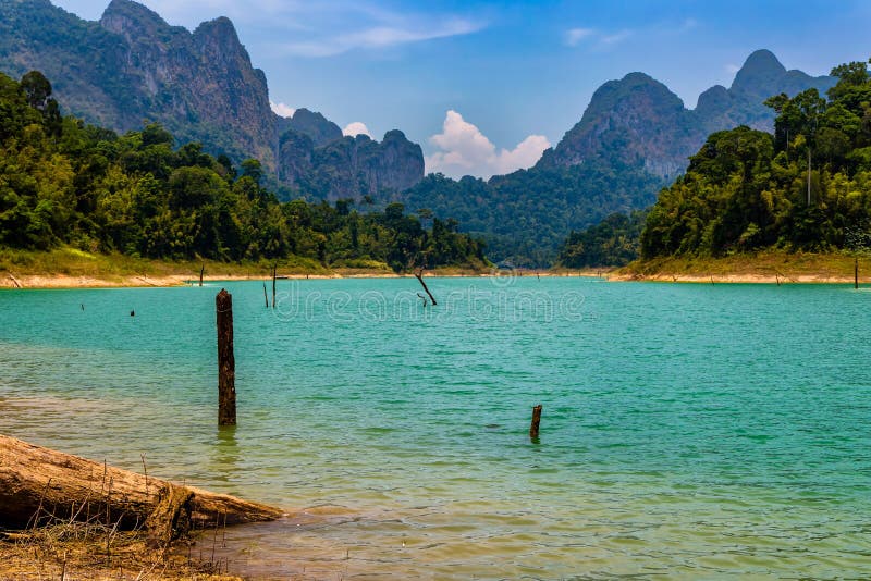 Petrified Trees and Dense Jungle in a Large Lake Surrounded by ...