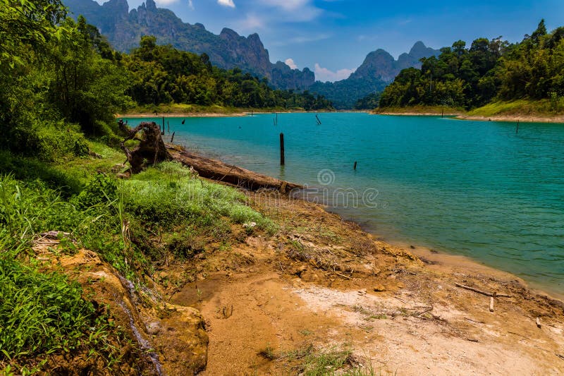 Petrified Trees and Dense Jungle in a Large Lake Surrounded by ...