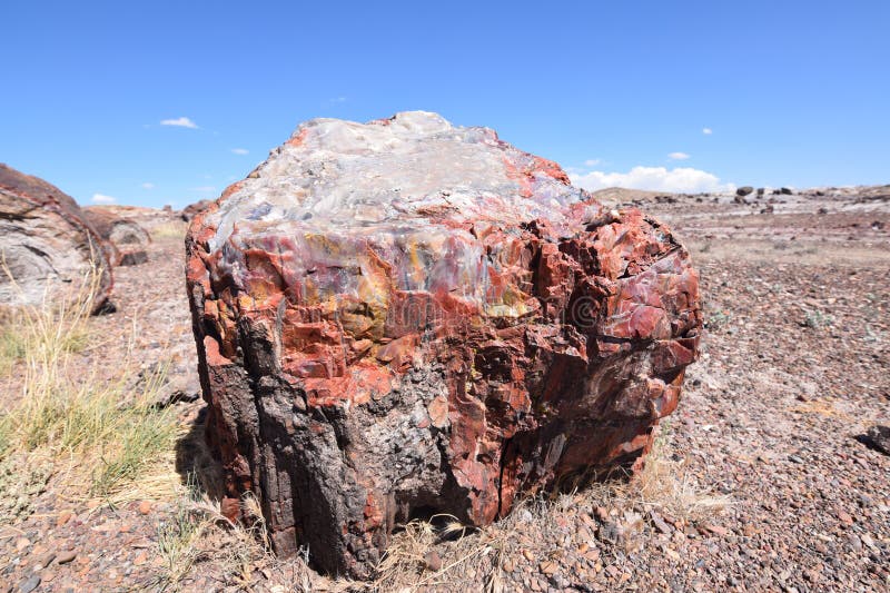 Petrified Wood, Petrified Forest Arizona Stock Image - Image of ...