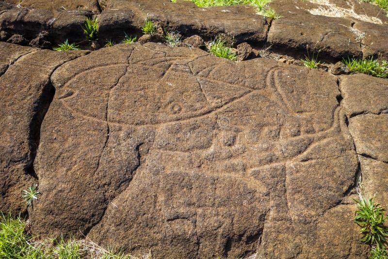 Petroglyphs on Rocks, Easter Island Stock Photo - Image of history ...