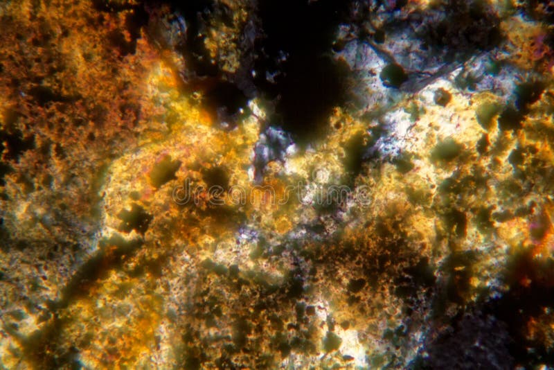 Petrographic Thin Section of the Meteorite NWA 6870 Under the ...