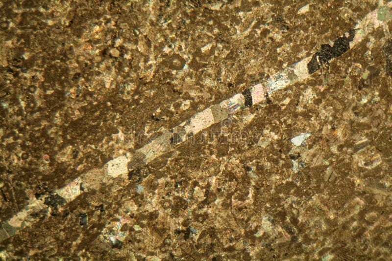 Thin Section of Limestone Under the Microscope Stock Image - Image of ...