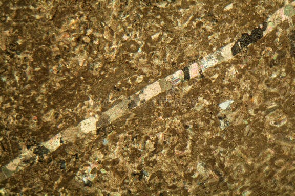 Thin Section of Limestone Under the Microscope Stock Image - Image of ...