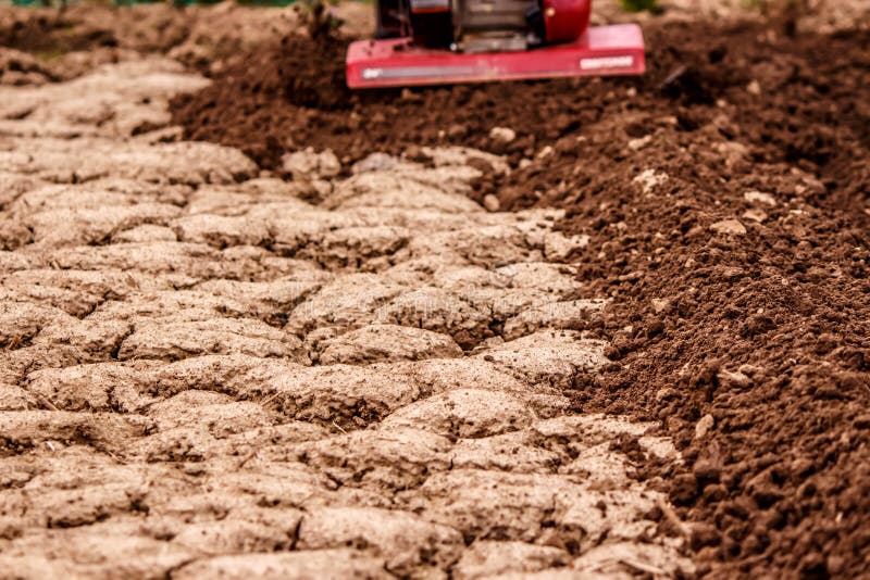 Petrol Cultivator Tills Compacted Soil Stock Photo - Image of diesel ...