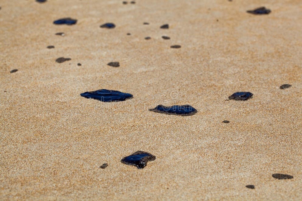 Petroleum stains on sand stock photo. Image of crab - 299757874