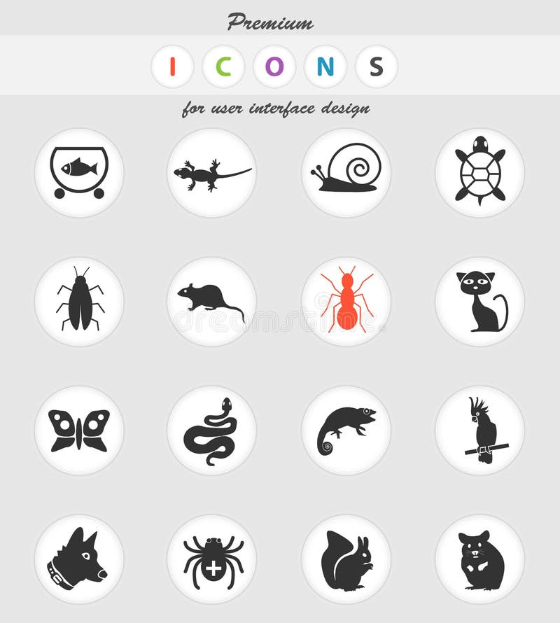 Pets icon set stock vector. Illustration of chameleon - 154995766