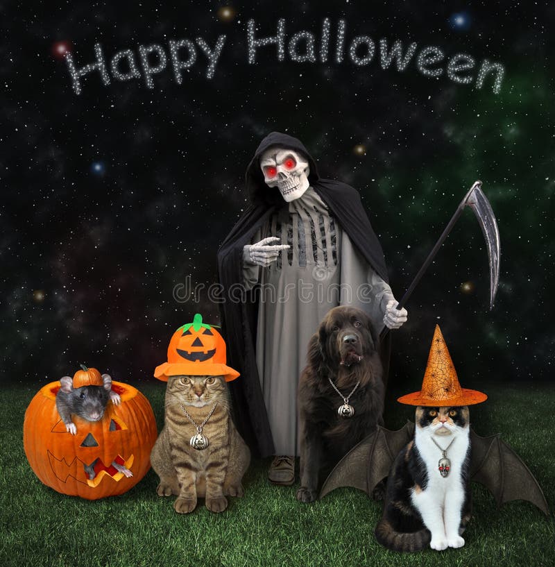 Pets Near Grim Reaper for Halloween Stock Image - Image of positive ...