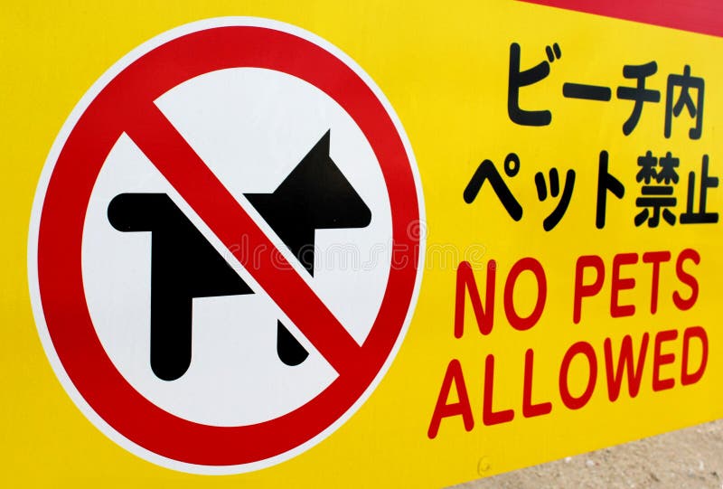 Pets are not allowed stock image. Image of yellow, allowed - 64778727