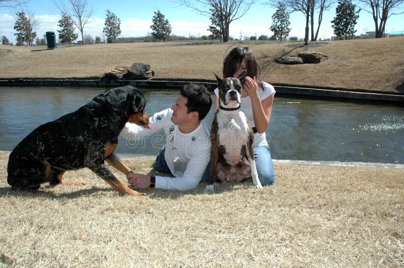 Pets and Owners stock photo. Image of cute, bull, canine - 2089840