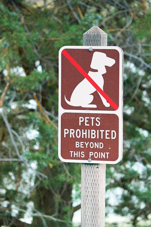 Pets Prohibited sign stock image. Image of prohibited - 26367569